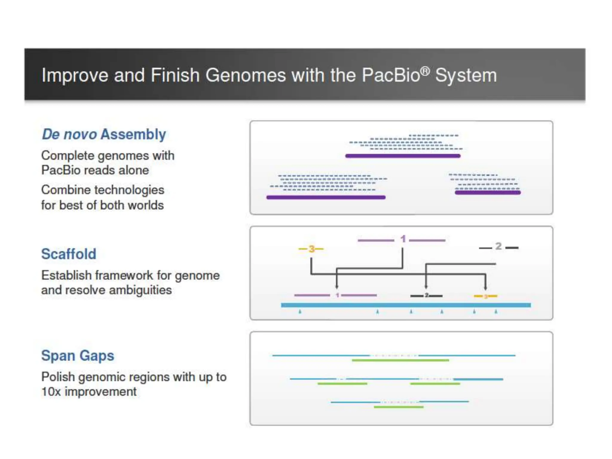Next Generation Sequencing - An Overview | PPTX