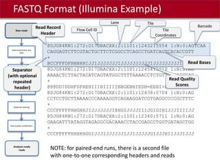 Ngs workshop passarelli-mapping-1 | PPTX