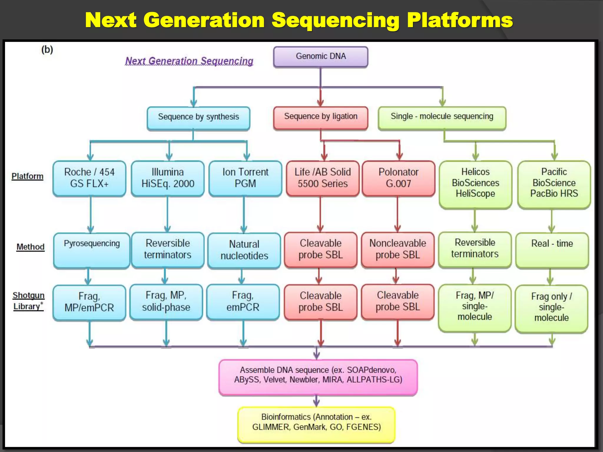 Next Generation Sequencing Technologies and Their Applications in ...