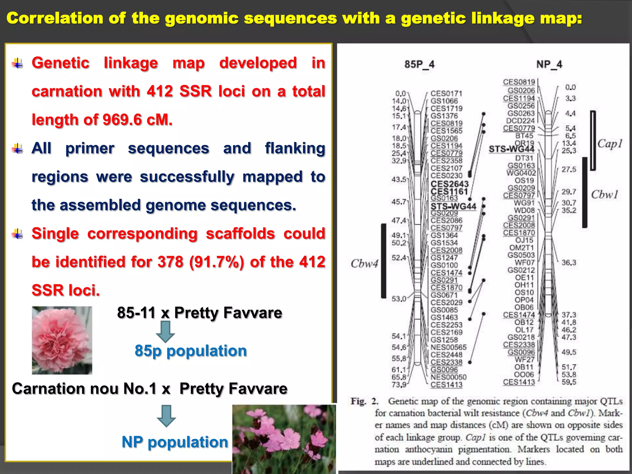 Next Generation Sequencing Technologies and Their Applications in ...