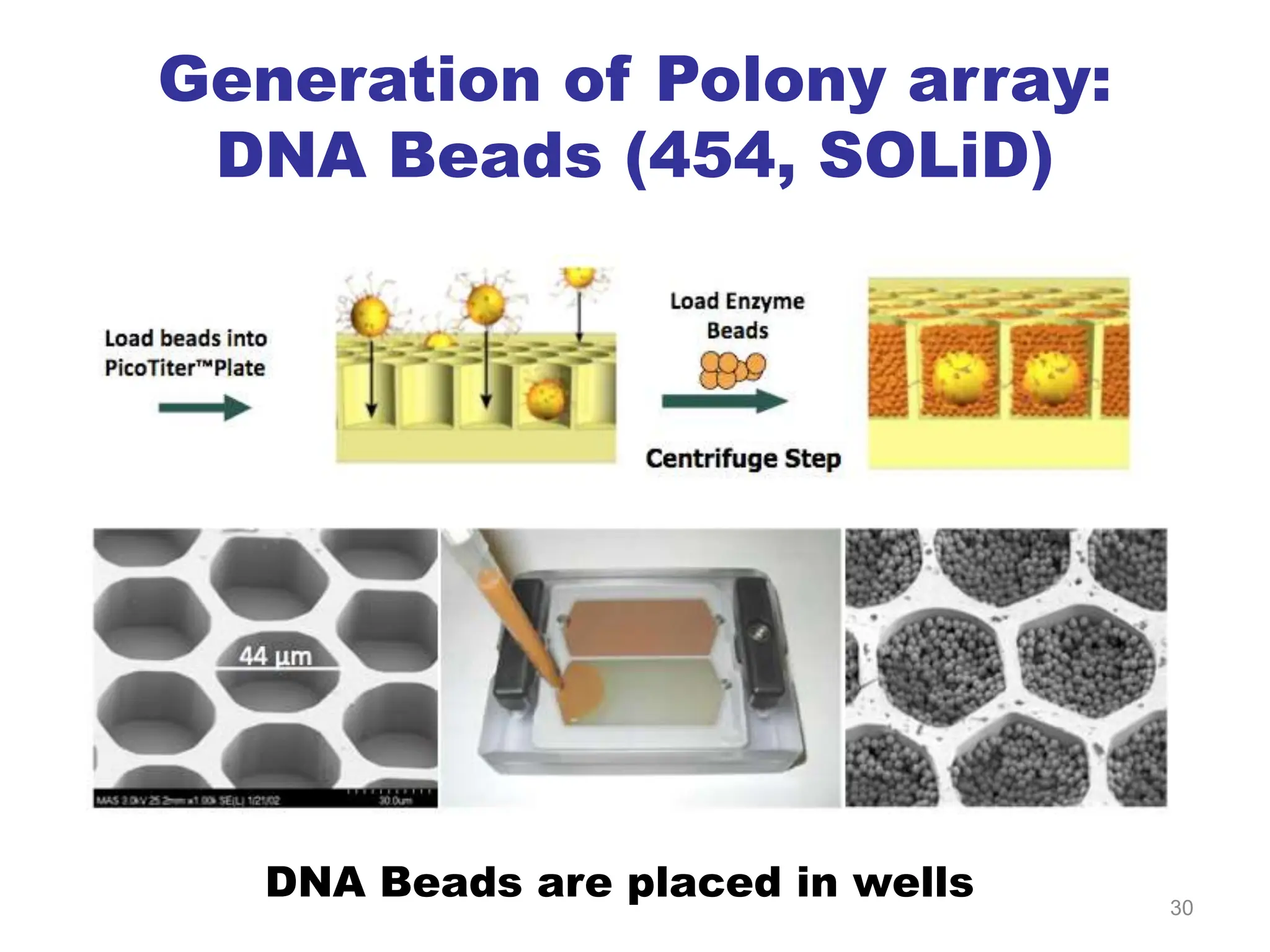 Next Generation Sequencing and its application | PPT