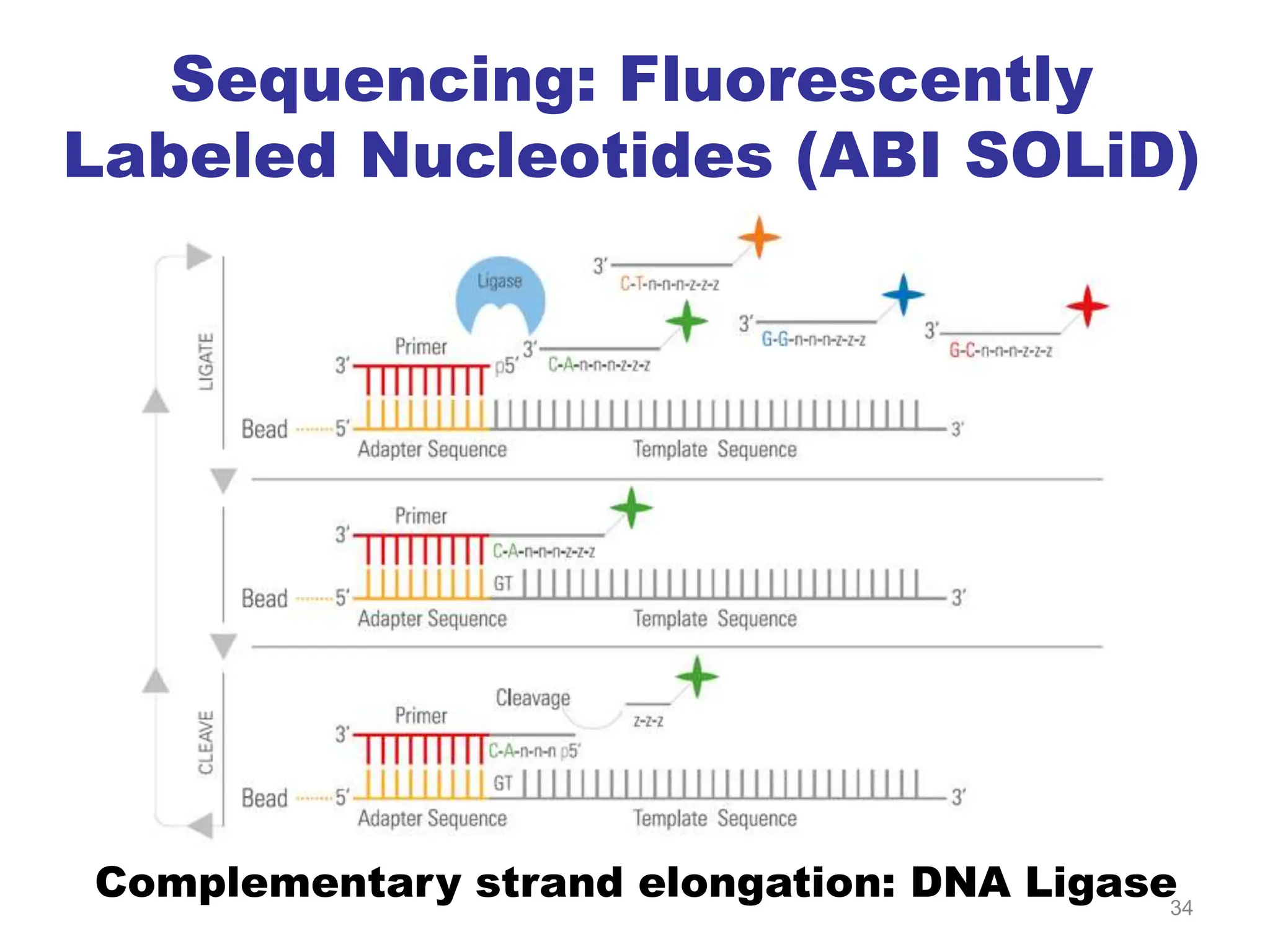 Next Generation Sequencing and its application | PPT