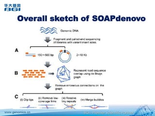 Ngs de novo assembly progresses and challenges | PPTX | Genetics | Science