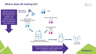 Identity testing by NGS as a means of risk mitigation for viral gene ...