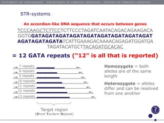 NGS in Forensics Genetics – examples using the GS Junior. Sponsored by ...
