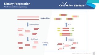 NGS Introduction - Creative Biolabs | PPT
