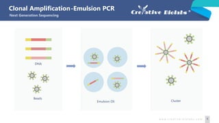 NGS Introduction - Creative Biolabs | PPT