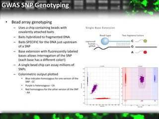 Genome Wide Methodologies and Future Perspectives | PPTX
