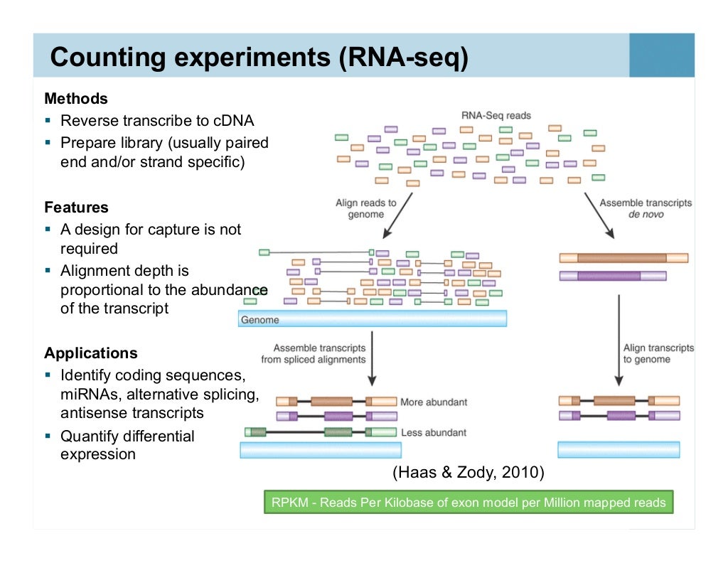 Overview Of Next Gen Sequencing Data Analysis