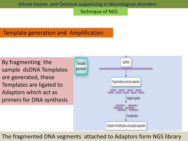 Ngs presentation | PPTX | Genetics | Science