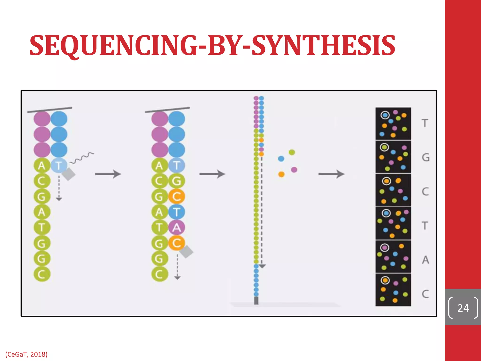 Introduction to Next Generation Sequencing | PPTX