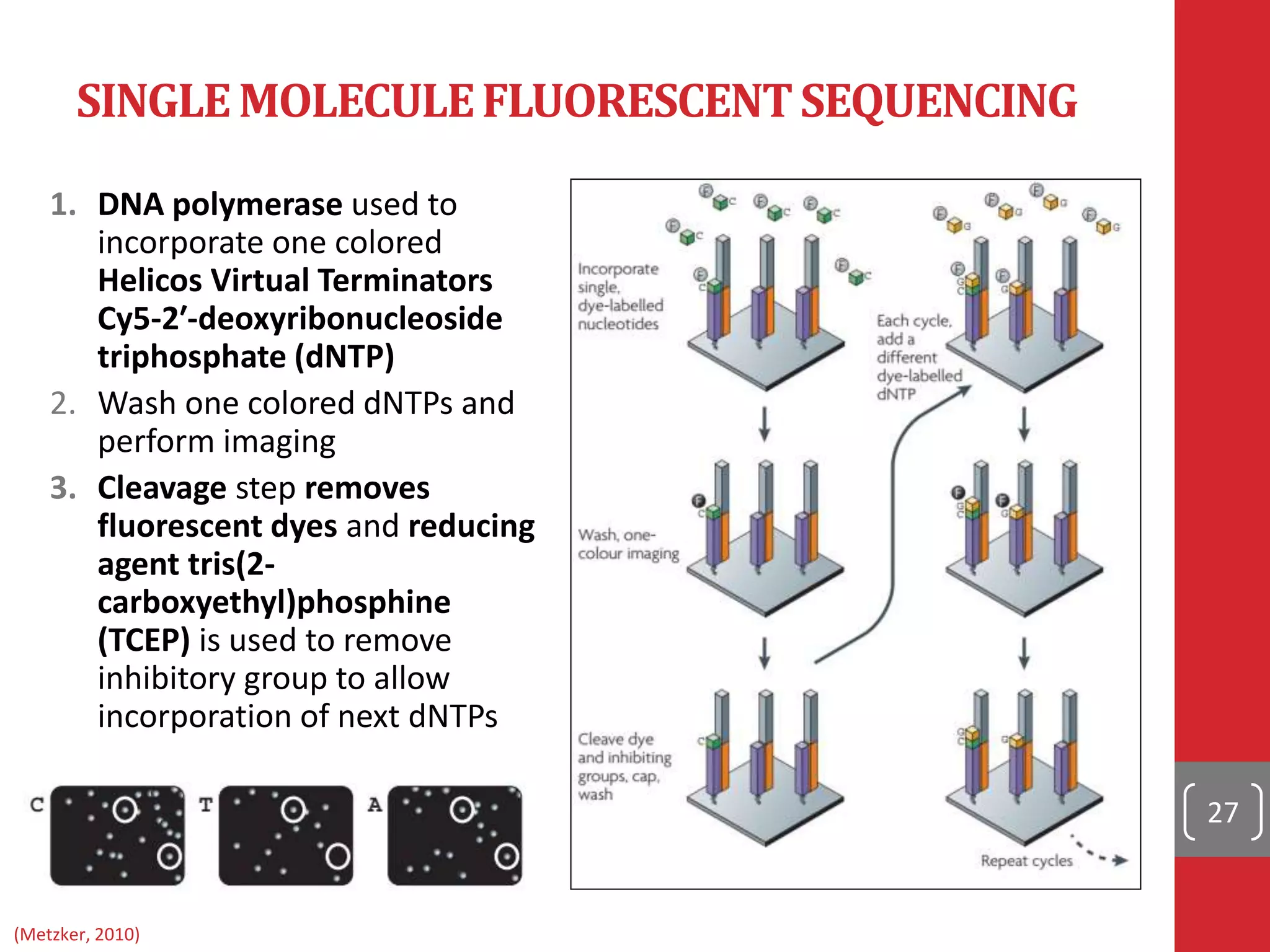 Introduction To Next Generation Sequencing Pptx Chemistry Science