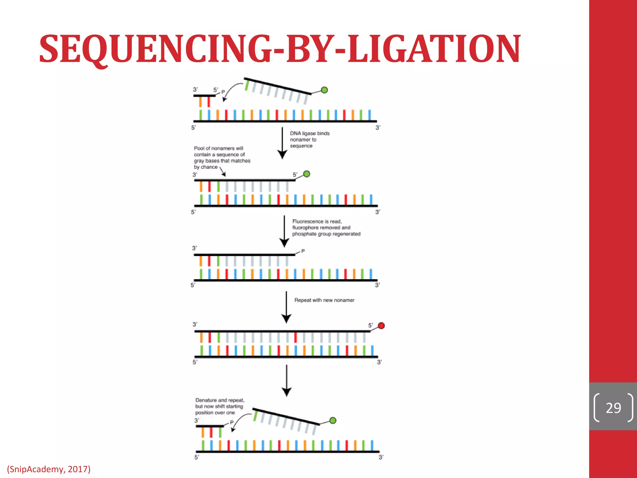 Introduction to Next Generation Sequencing | PPTX