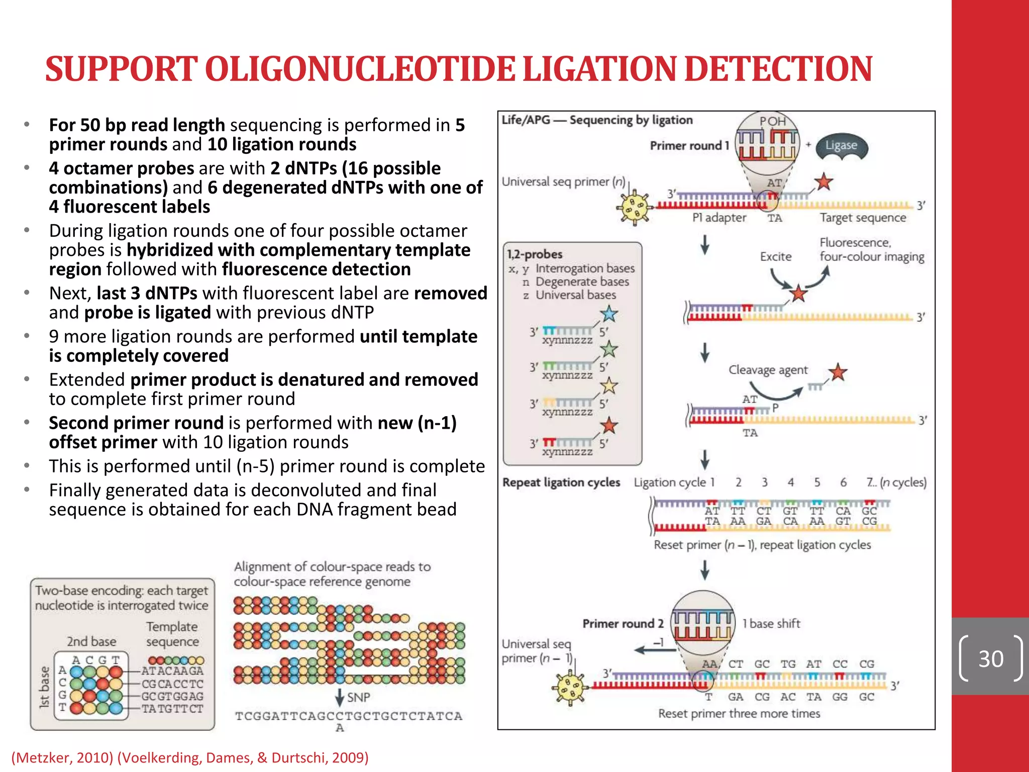 Introduction to Next Generation Sequencing | PPTX