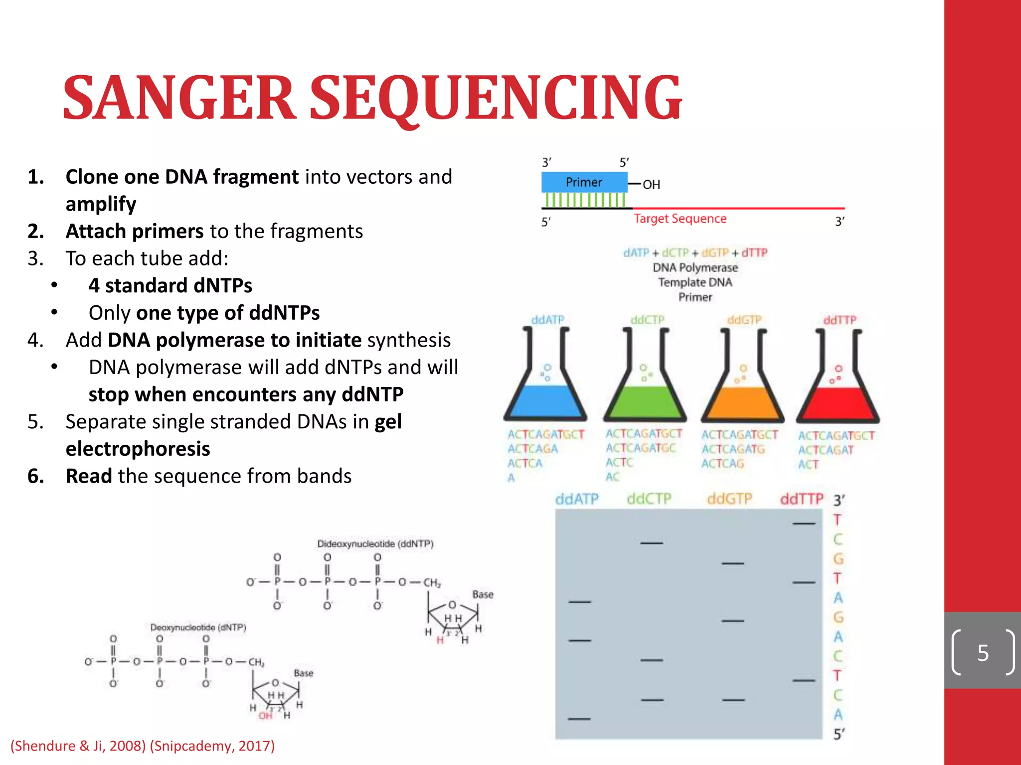 Introduction to Next Generation Sequencing | PPTX