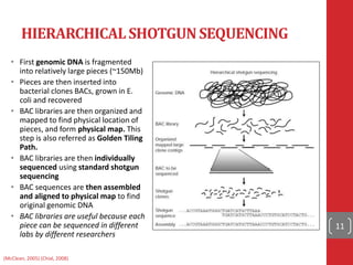 Introduction to Next Generation Sequencing | PPTX