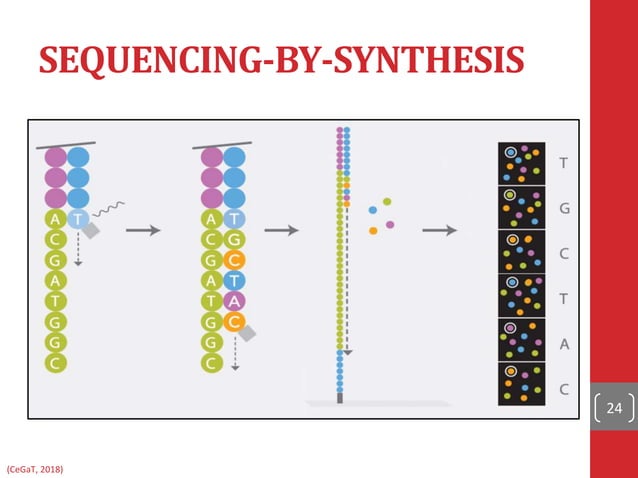 Introduction to Next Generation Sequencing | PPTX | Chemistry | Science