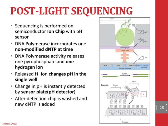 Introduction to Next Generation Sequencing | PPTX | Chemistry | Science