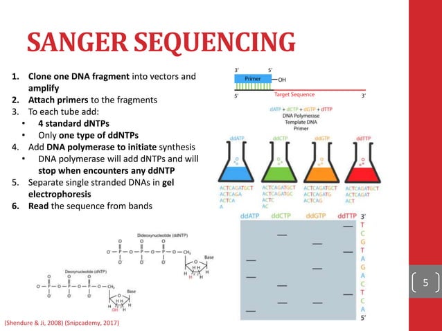 Introduction to Next Generation Sequencing | PPTX | Chemistry | Science