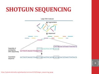 Introduction to Next Generation Sequencing | PPTX