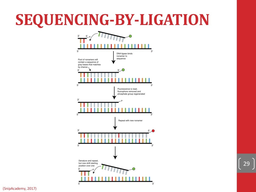 Introduction to Next Generation Sequencing