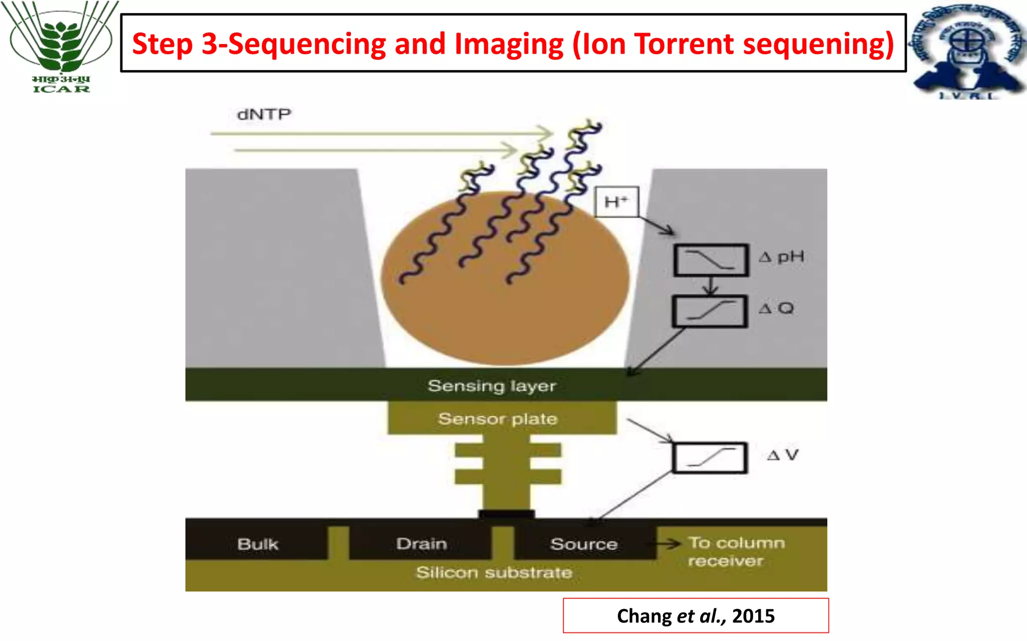 Next Generation Sequencing application in virology | PPTX