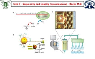 Next Generation Sequencing application in virology | PPTX