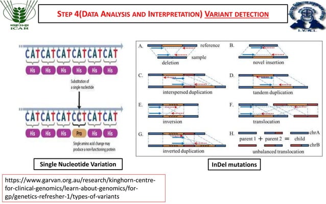Next Generation Sequencing application in virology | PPTX | Genetics | Science