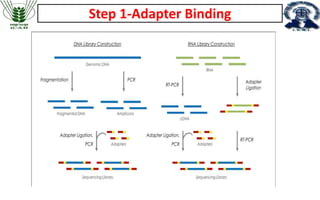 Next Generation Sequencing application in virology | PPTX