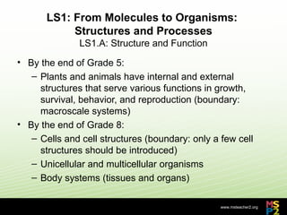 Getting Ready for the Next Gen Science Standards: Science and ...