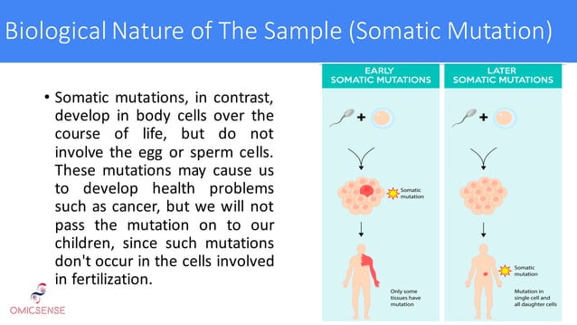 Ngs Variant Calling Clinical Point Of View Ppt