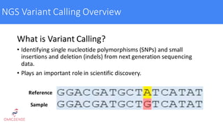 NGS variant calling clinical point of view | PDF