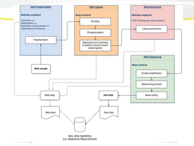 NGSWorkflows.ppt | Databases | Computer Software and Applications