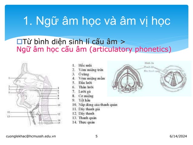 ngu am tieng viet Ngon ngu hoc doi chieu.pptx