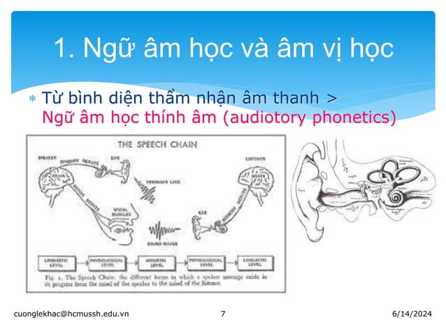 ngu am tieng viet Ngon ngu hoc doi chieu.pptx