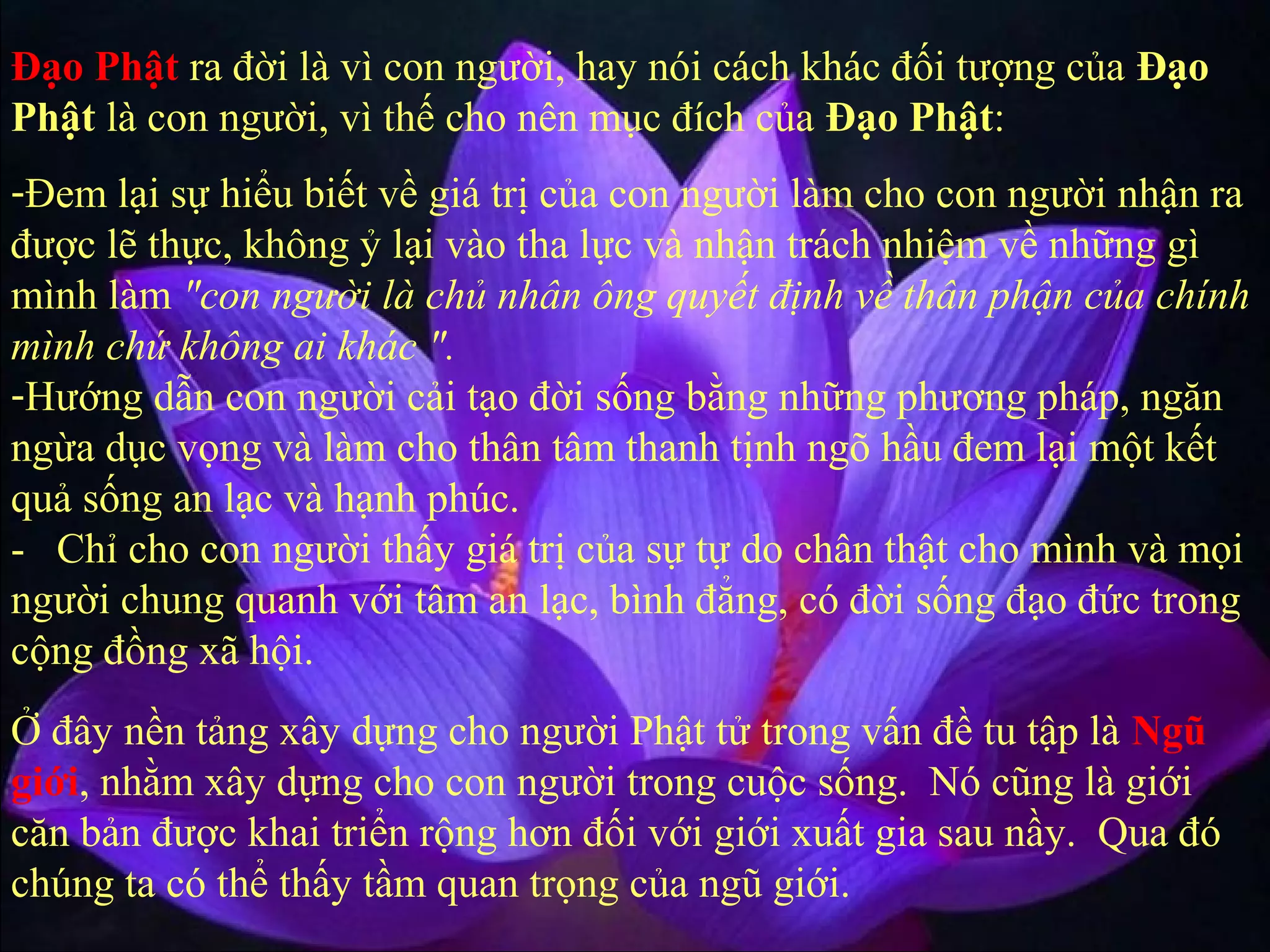 Ngu gioi cua Phat Giao - Tuy Phuong Le Tran | PPS