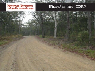 Ngunya jargoon ipa program | PPT