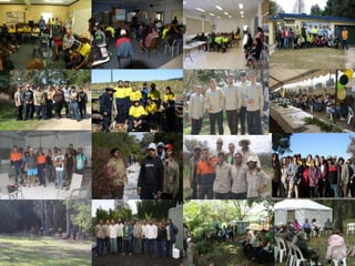 Ngunya jargoon ipa program | PPT