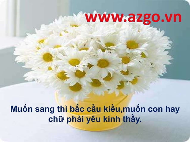 Nguoi thay | PPT