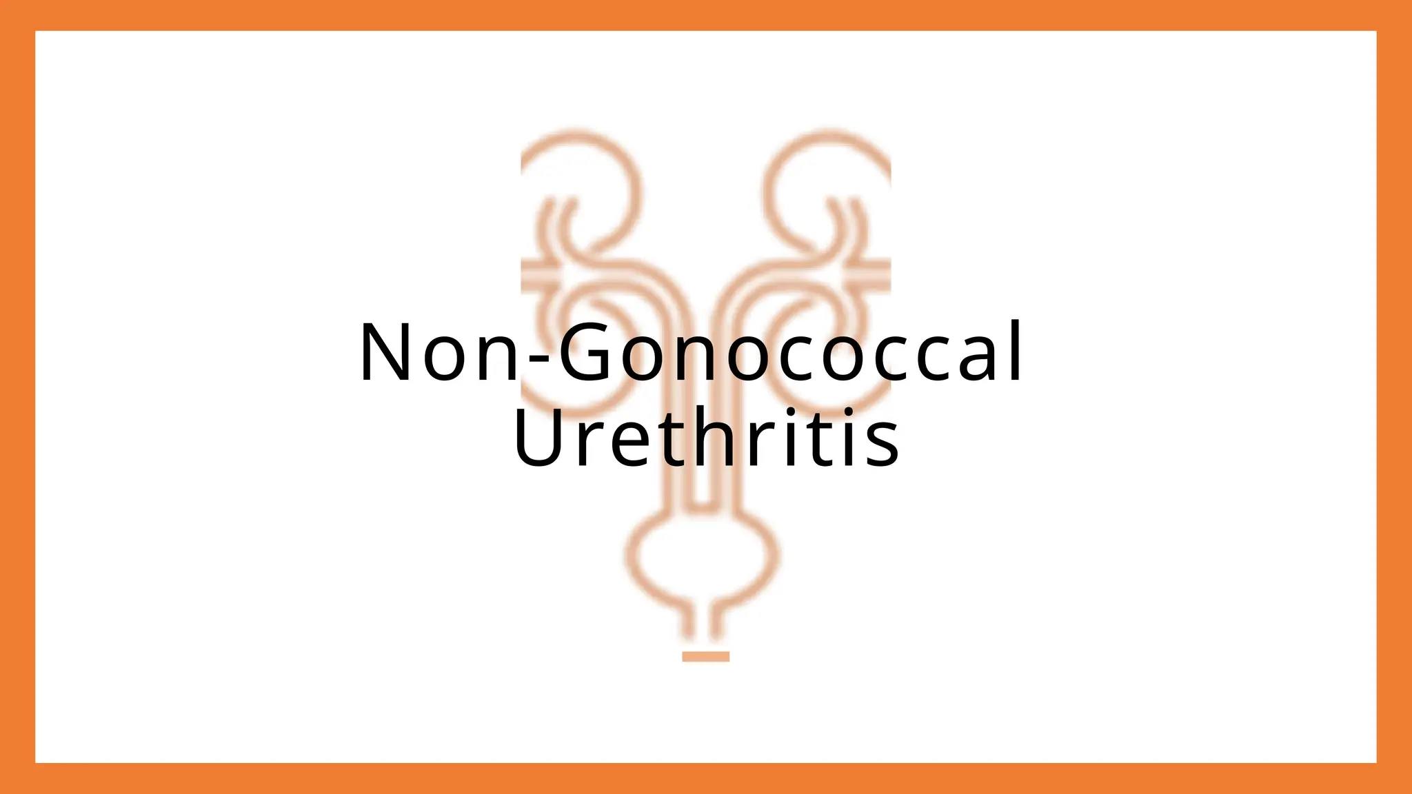 Non-Gonococcal Urethritis and Trichomoniasis T. vaginalis.pptx