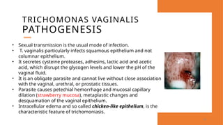 Non-Gonococcal Urethritis and Trichomoniasis T. vaginalis.pptx