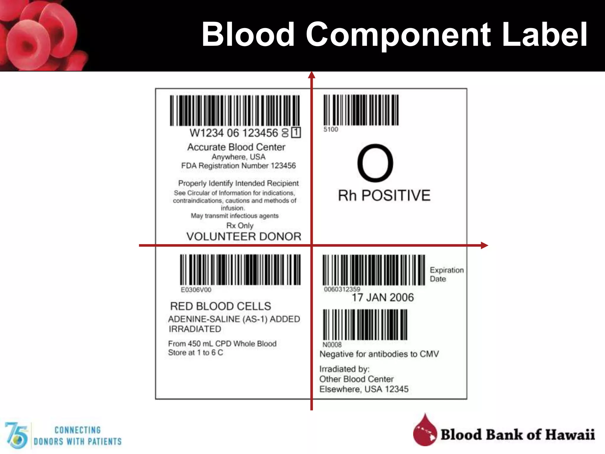 Blood Components 101 | PPTX