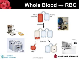 Blood Components 101 | PPTX