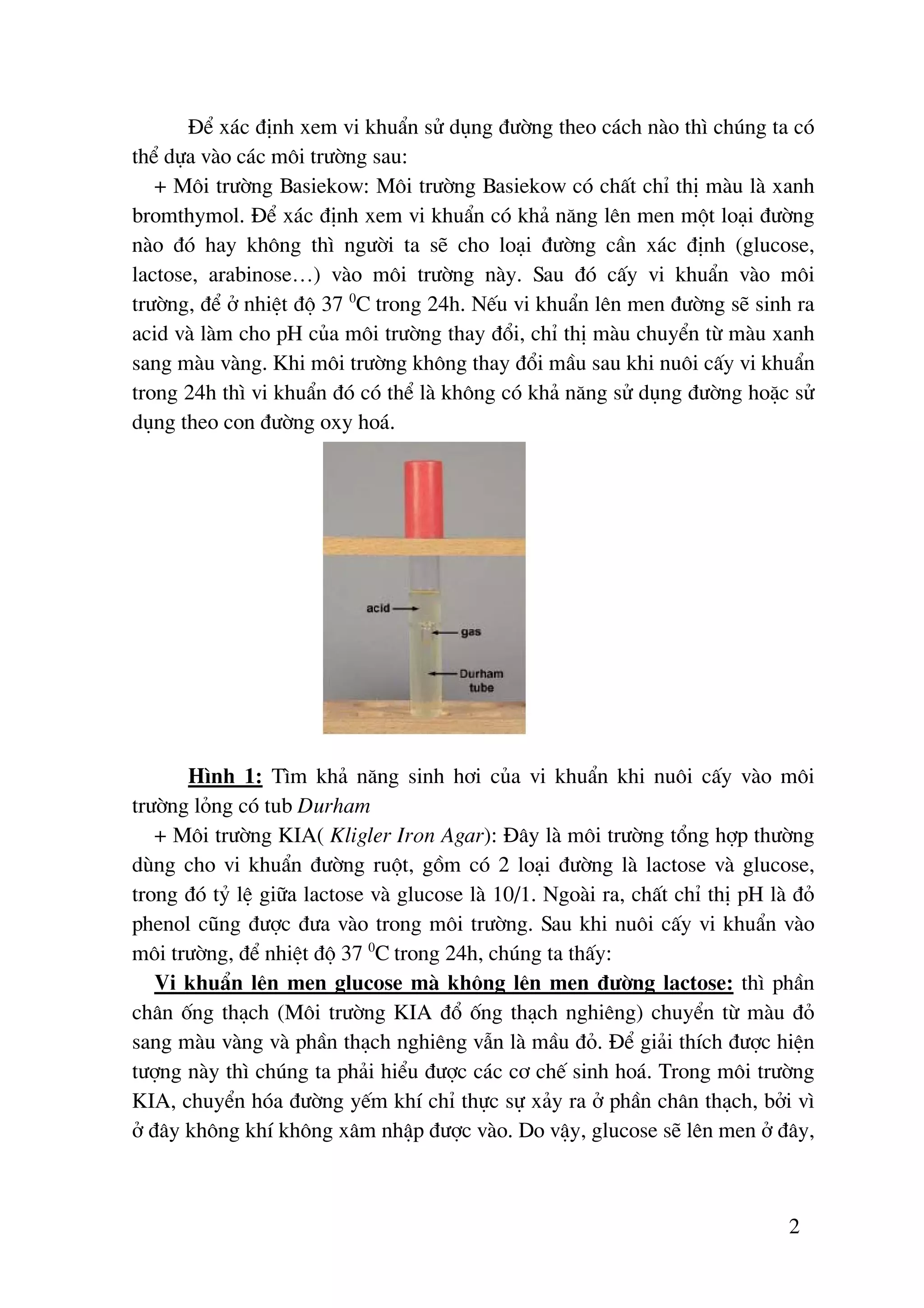 Nguyen ly mot so phan ung sinh hoa | PDF