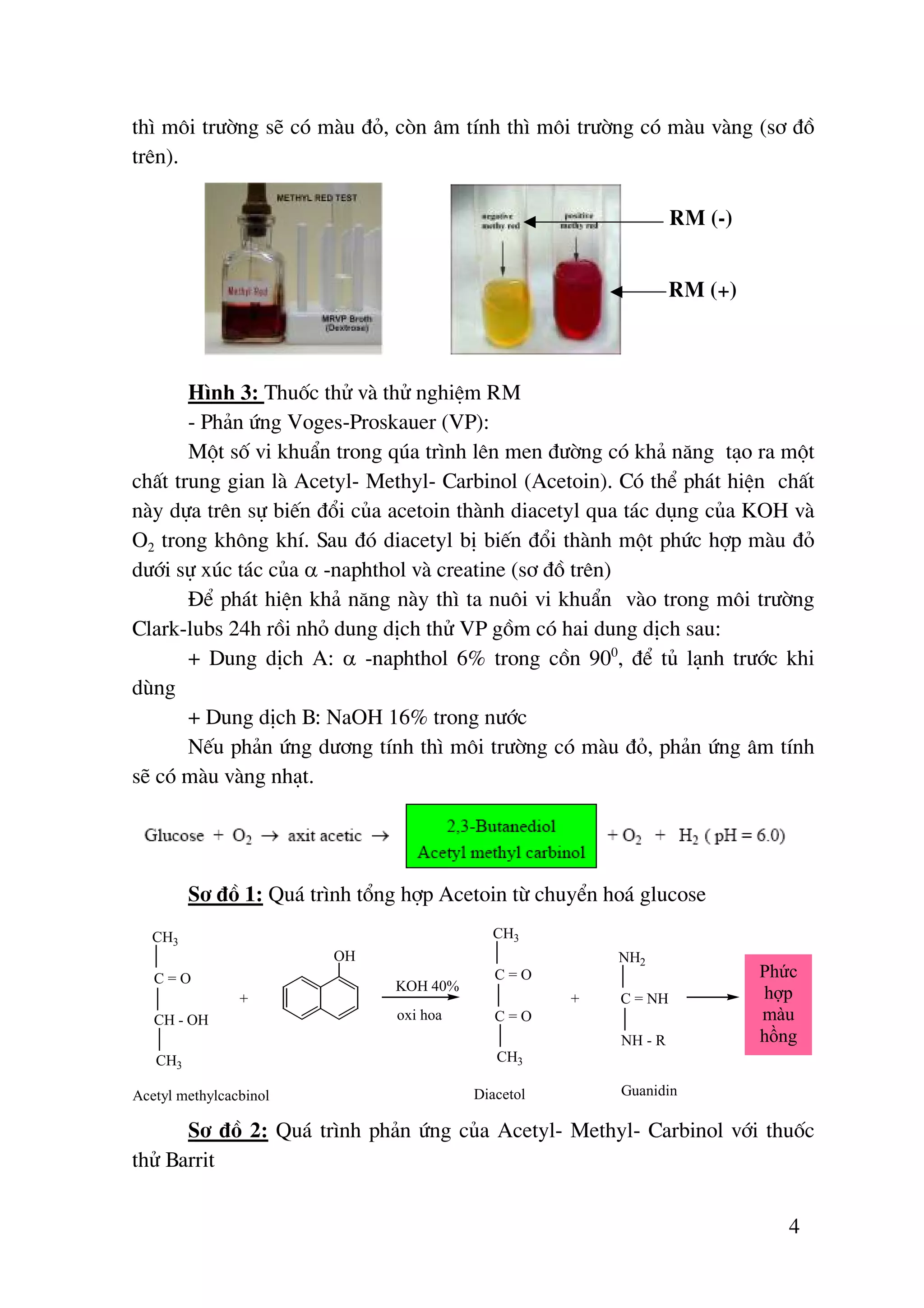 Nguyen ly mot so phan ung sinh hoa | PDF