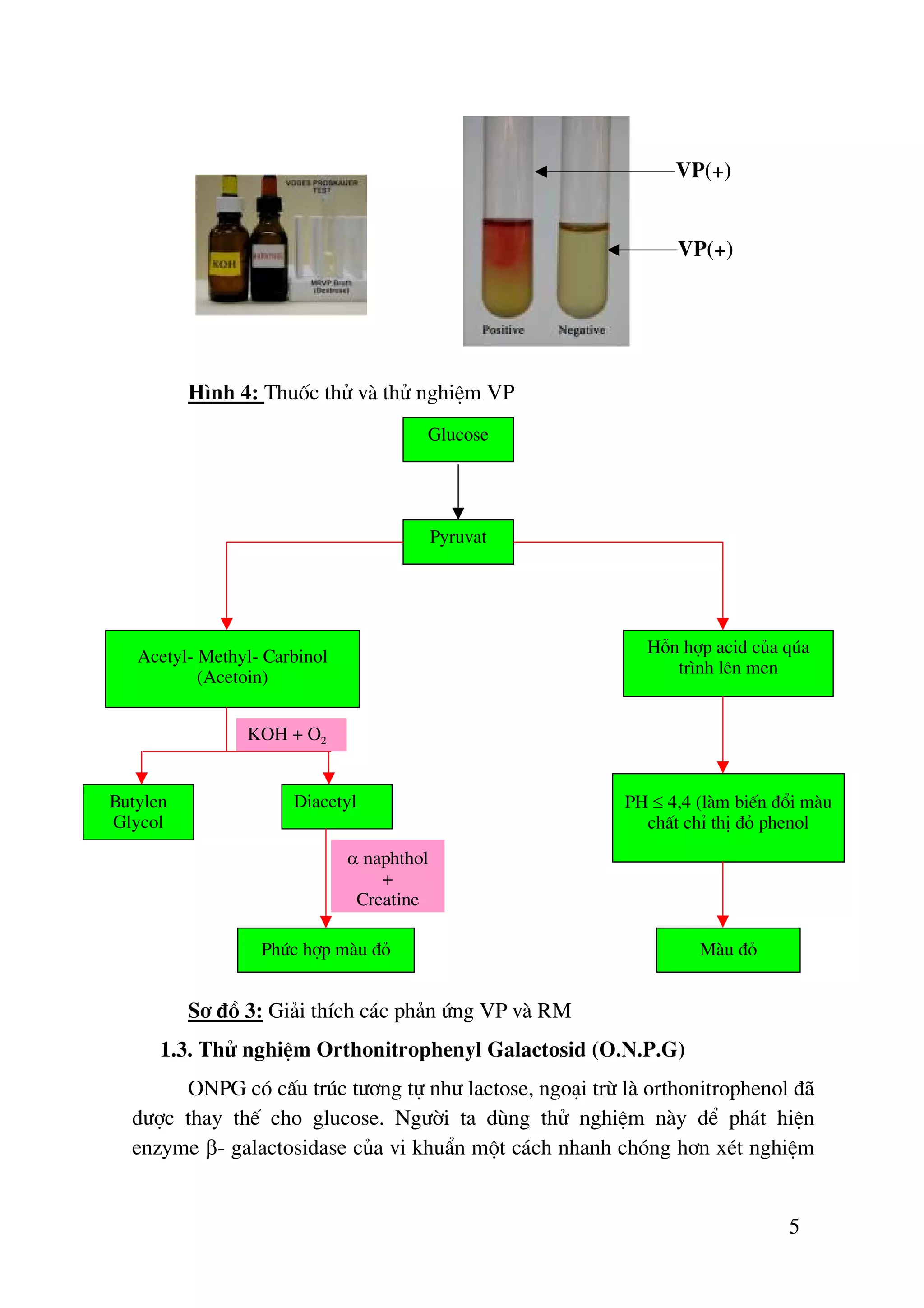 Nguyen ly mot so phan ung sinh hoa | PDF