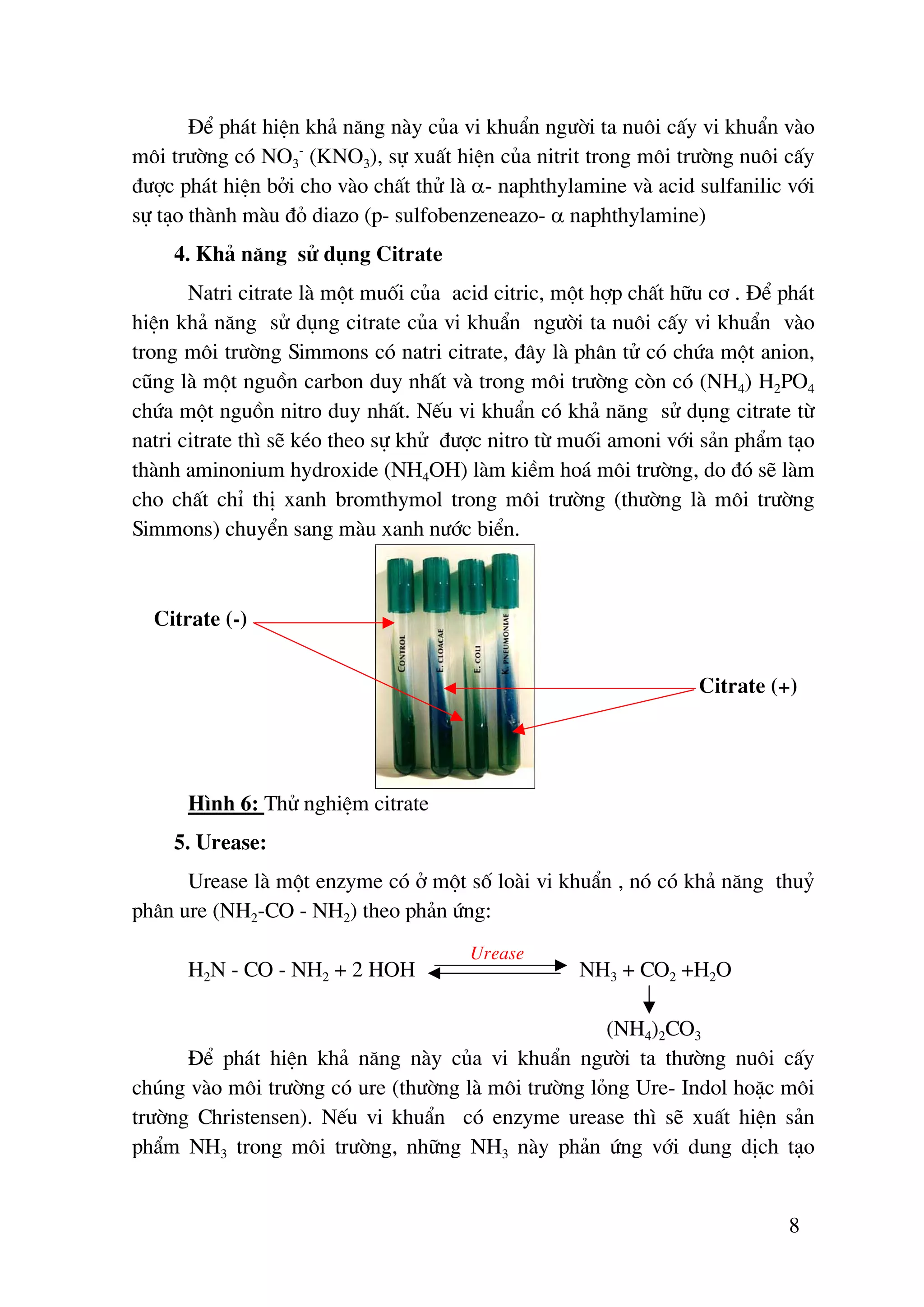 Nguyen ly mot so phan ung sinh hoa | PDF