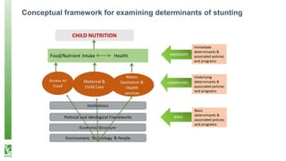 Multi-state stories:Insights from the frontrunners of stunting ...
