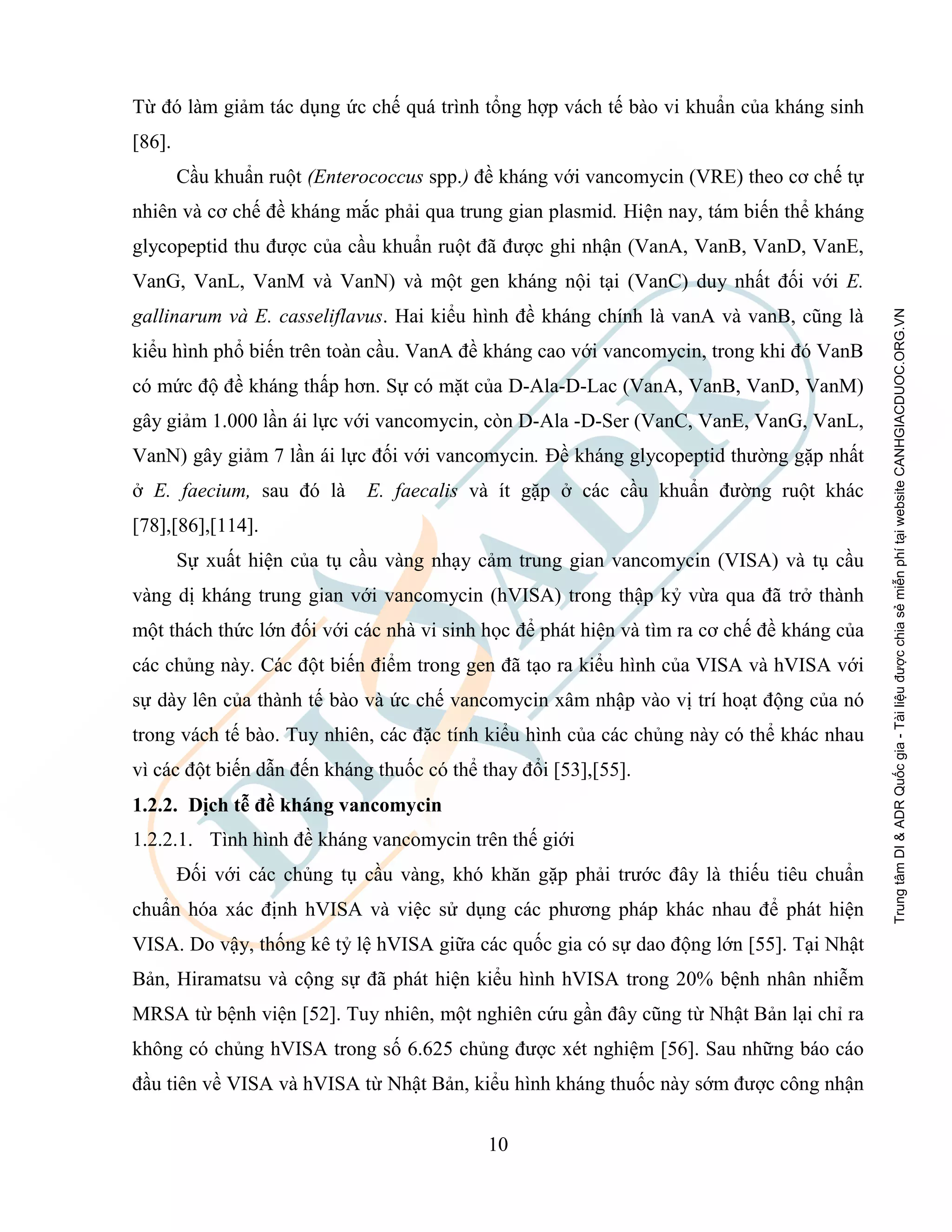 Luận văn: Thực trạng sử dụng vancomycin ở bệnh viện Thanh Nhàn | PDF