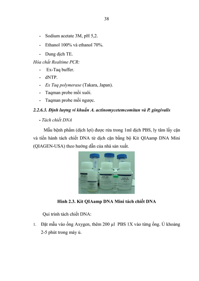 Định lượng Actinobacillus actinomycetemcomitans, Porphyromonas ...